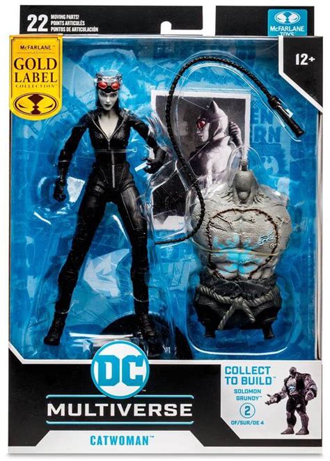 Dc Multiverse Catwoman Gold Label Batman Arkham City Solomon