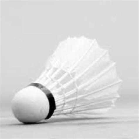 Badminton Object Detection Dataset V1 2024 03 22 10 50pm By Kokbulutangkis