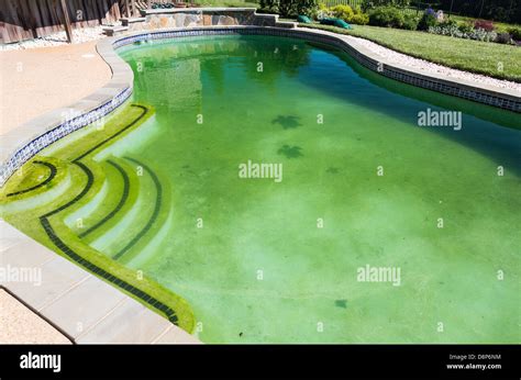 Disgusting Green Pool