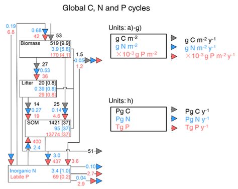 Bg Relations Spatial Variations In Terrestrial Net Ecosystem Productivity And Its Local