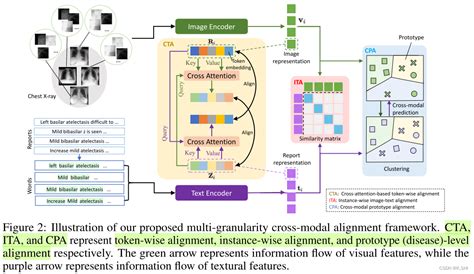 Multi Granularity Cross Modal Alignment For Generalized Medical Visual Representation Learning