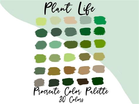 Plant Procreate Color Palette Procreate Color Palette Green Colors Plant Color Palette