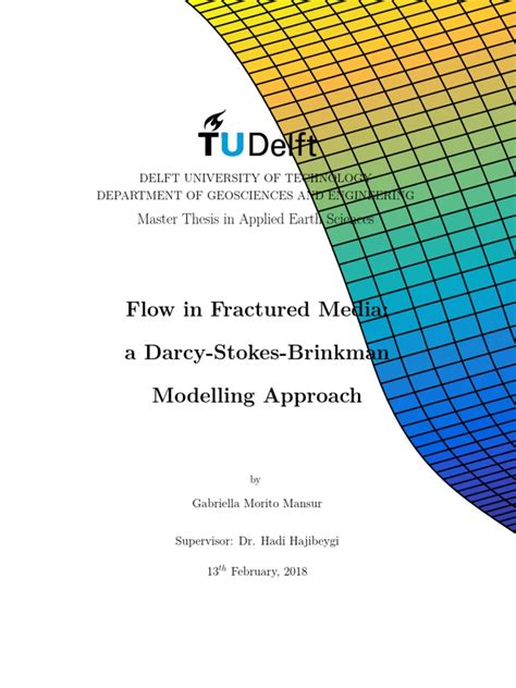 msc thesis g mansur pdf fluid dynamics navier stokes equations