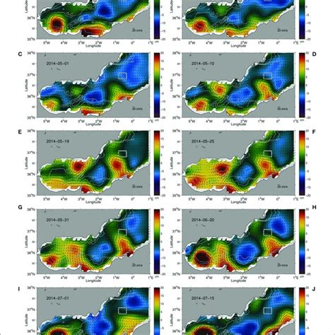 Absolute Dynamic Topography Cm Derived From Satellite Altimetry Download Scientific Diagram