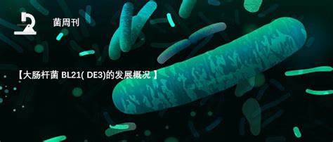【菌周刊】 工程菌应用｜大肠杆菌 Bl21 De3 的发展概况 知乎