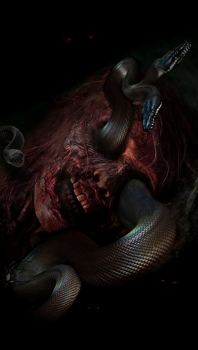 Download Two Headed Snake Snake Python Royalty Free Stock Illustration Image Pixabay