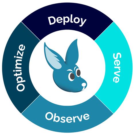 Ml In Production Platform For Max Roi Wallaroo Ai