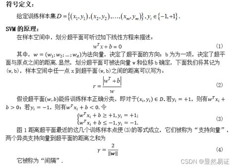 机器学习svm——实验报告 机器学习实验报告 csdn博客
