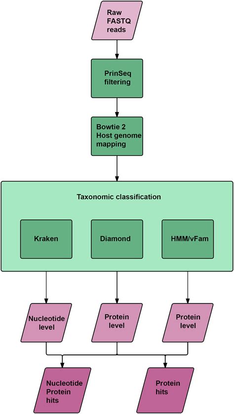 Schematic Illustration Of The Bioinformatic Pipeline Raw Data From The