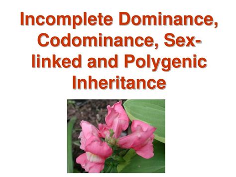 Ppt Incomplete Dominance Codominance Sex Linked And Polygenic Inheritance Powerpoint