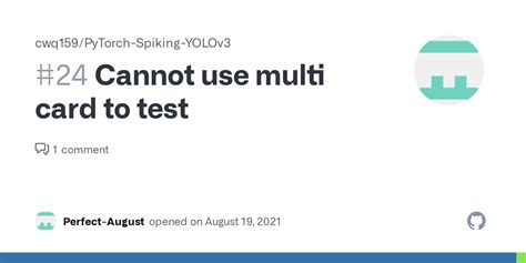 Cannot Use Multi Card To Test Issue 24 Cwq159 PyTorch Spiking