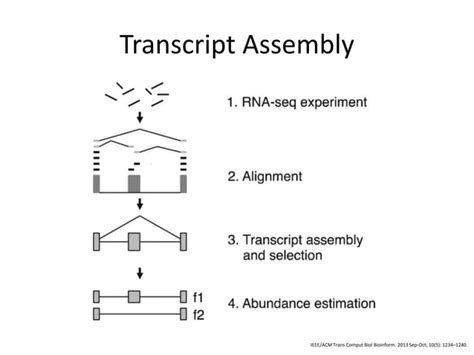 Rnaseq Analysis Pipeline For Differential Expression Pptx