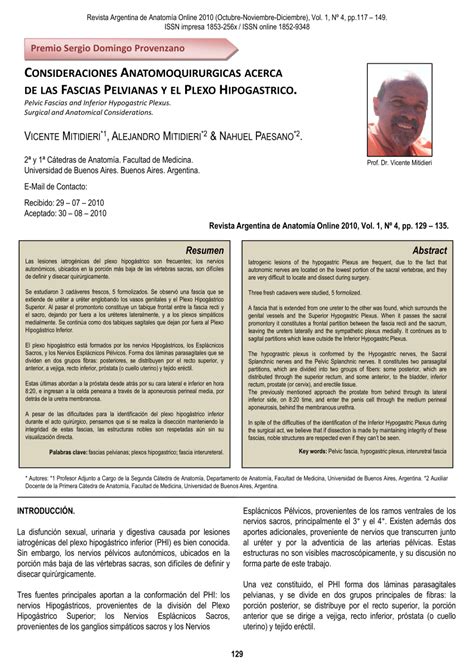 Pdf Pelvic Fascias And Inferior Hypogastric Plexus Surgical And Anatomical Considerations