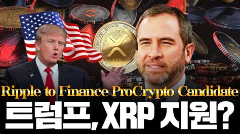 리플 트럼프 지지 선언 당선시 파격적 금전지원” Youtube