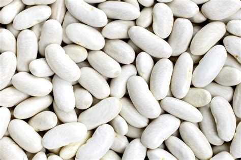 20 Facts About Fayot Bean Ohmyfacts