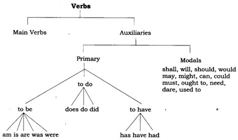 CBSE Class 7 English Grammar Verb