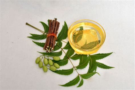 Foto Manfaat Dan Cara Mengaplikasikan Minyak Nimba Pada Tanaman