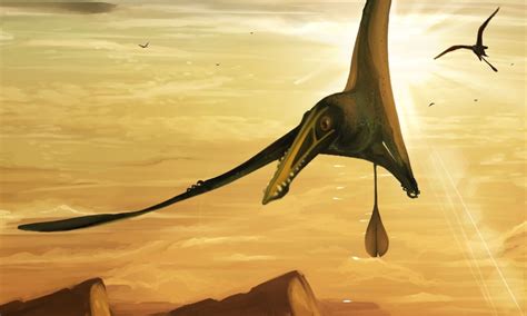 Largest Jurassic Pterodactyl Ever Found Had Wing Span Bigger Than Michael Jordan Newsweek