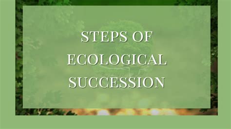 Explain The Process Of Eutrophication Bio Smart Notes