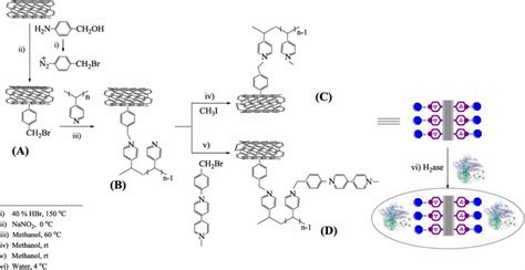 Schematic Drawing For The Preparation Of Multiwalled Carbon Nanotube Download Scientific