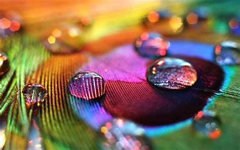 Hd Wallpaper Water Drops Macro Hd Nature Wallpaper Flare