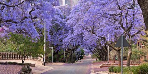 Fatima Moolla On Linkedin Trust In Transition 10