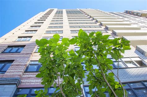 Купить квартиру в Анапе — Строительная компания СК Гамма