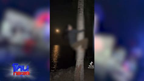 หนุ่ม กรรชัย ขยี้ คลิปปีนต้นมะพร้าว ของสาวมือที่สาม หนุ่ม กะลา จูน เห็นแล้วว่าไง