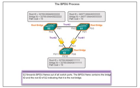 Ccna Chapter Cisco V Exam Answer Ccna Exam Answers