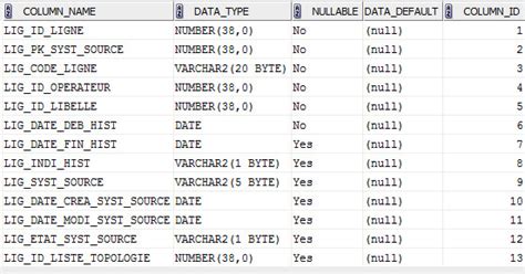 Optimisation Requête Sql Oracle Sql Developer Par Camarade Gunter