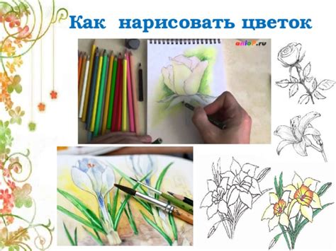 Презентация Цветы