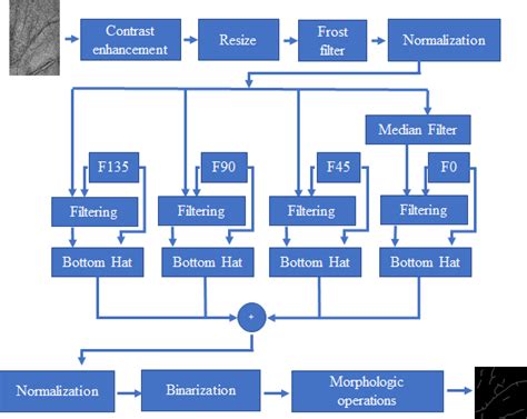 Block Diagram Of The Extraction Algorithm Download Scientific Diagram