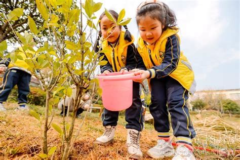 江西峡江春日添新绿 人民图片网