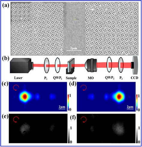 A Sem Picture Of The Sample B Experiment Setup For Verifying The Download Scientific