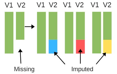 Member Training Multiple Imputation For Missing Data The Analysis Factor