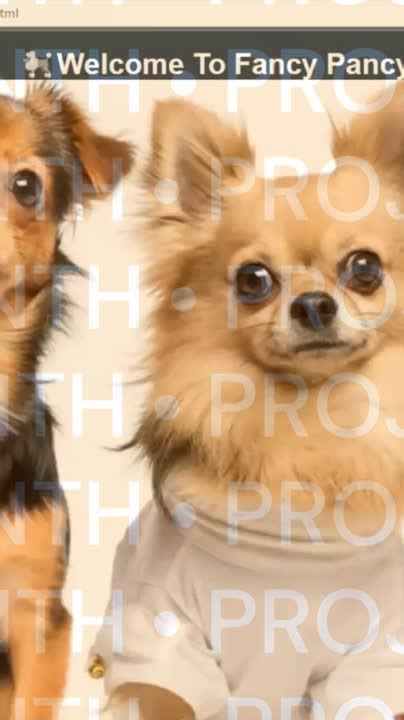 [video] San Diego Global Knowledge University On Linkedin The Fsdi Project Of The Month