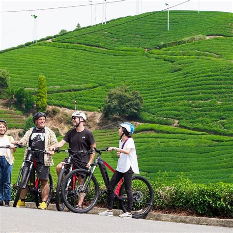 Cycle Kasagi 2026 All You Must Know Before You Go W Reviews