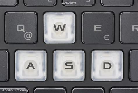 wasd keys معنی تخصصی در دیکشنری آبادیس