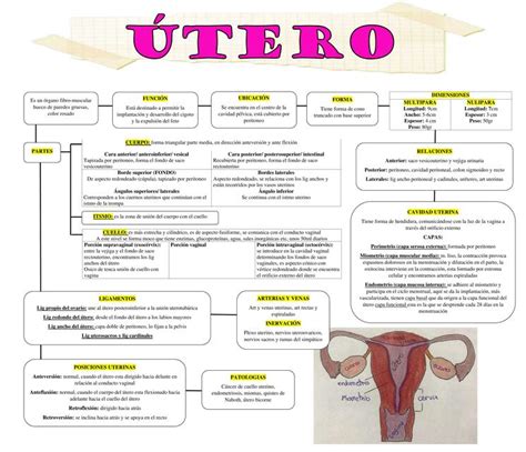 Tero Mapa Conceptual A Z Udocz