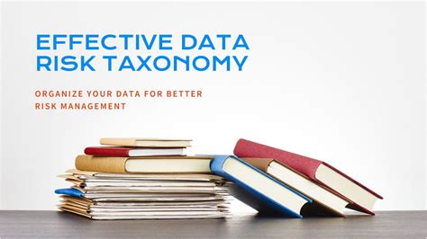 Data Risk Taxonomy