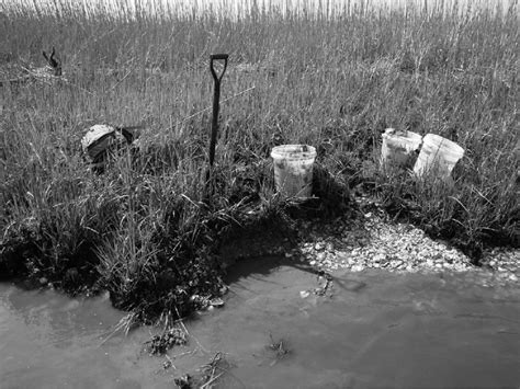 A Partially Submerged Shell Midden Located In Tidal Marsh On A Download Scientific Diagram
