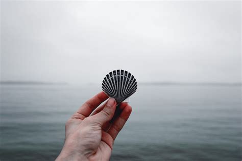 Impress Onlookers With Your Newly Acquired Shell Skills By Rahul Agarwal Towards Data Science
