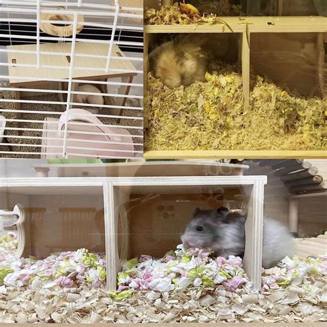 Wooden Hamsters 2 Chamber Hideout Tunnel Multi Chamber