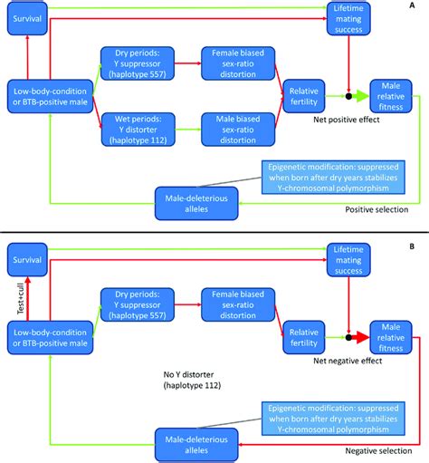 Mechanism Underlying Sex Ratio Distortion And Selection Of Download Scientific Diagram