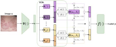 Github Obiyoag Evi Cem Official Implementation Of Miccai Paper Evidential Concept