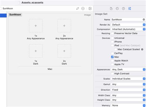 Futurebasic Asset Catalog Image