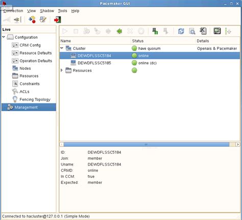 Implementation Guide Of Running Sap System On Sles Sap Community
