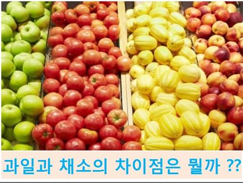 과일과 채소의 차이 뭘까요 네이버 블로그