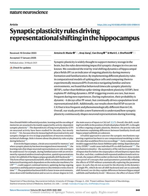Synaptic Plasticity Rules Driving Representational Shifting In The Hippocampus Request Pdf