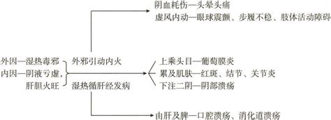 第二节 白塞综合征 庄曾渊中医眼科 医学